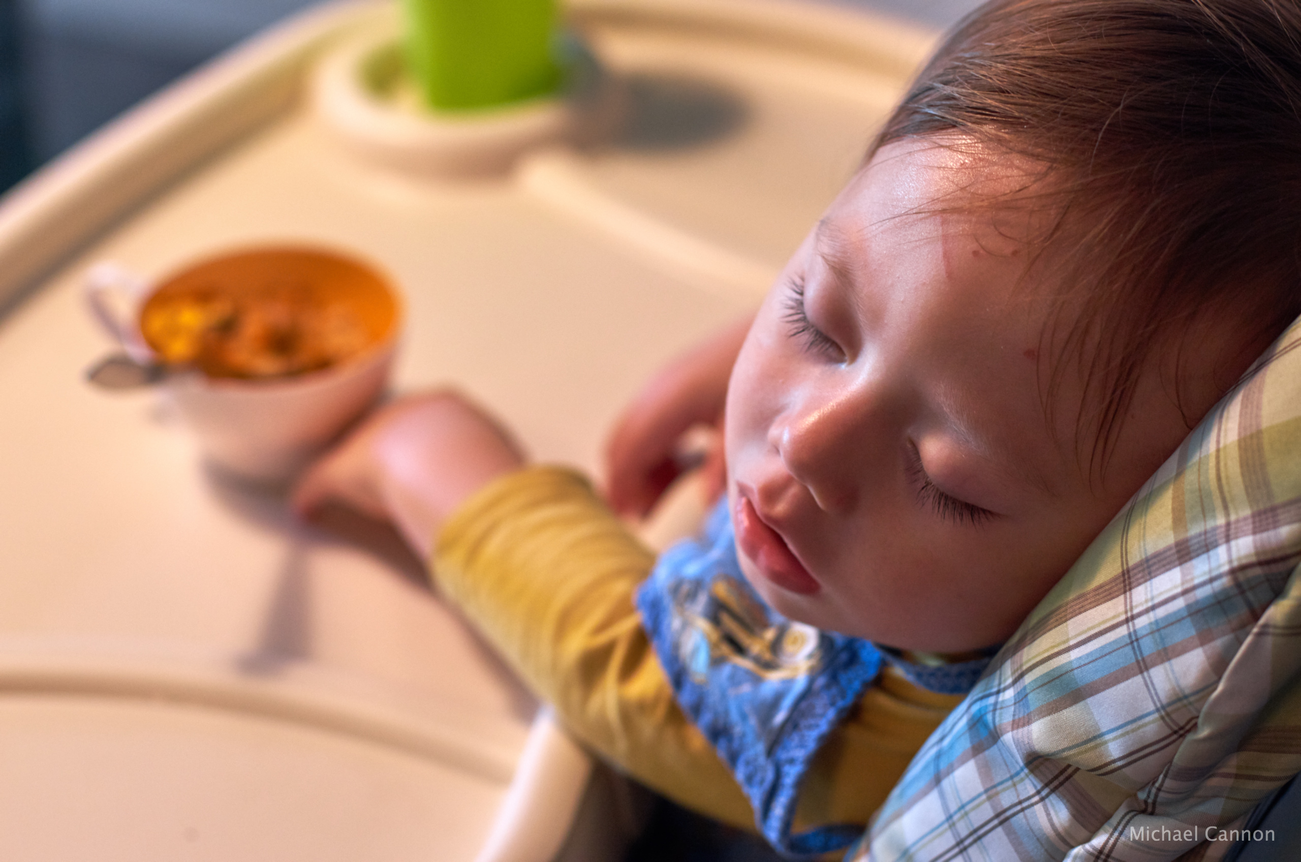 Forget the turkey: the neuroscience behind the “food coma” – PennNeuroKnow