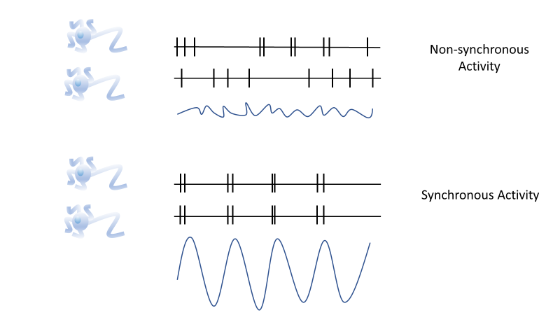 Ride the Wave – PennNeuroKnow