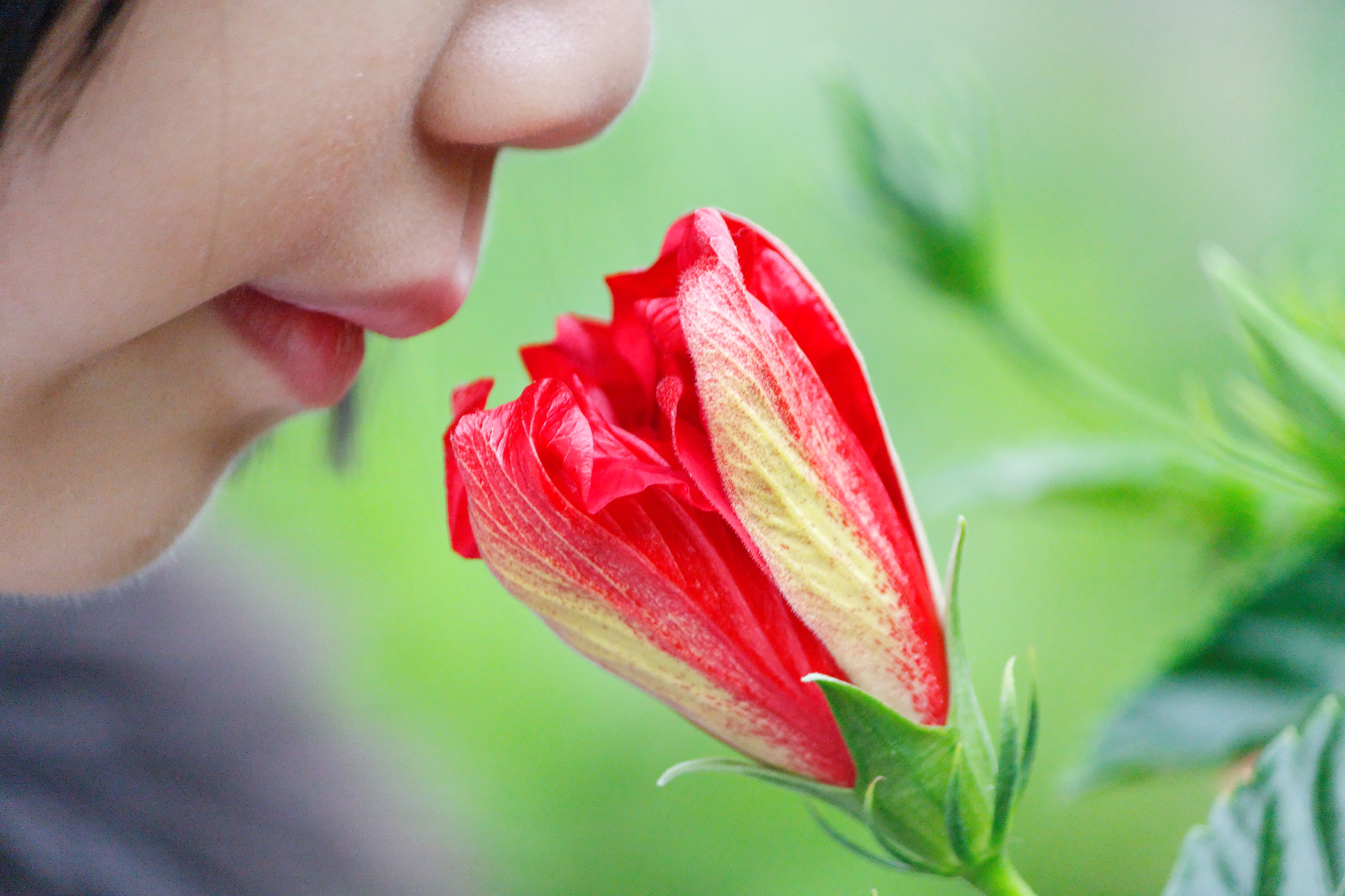 A World Without Smell – PennNeuroKnow