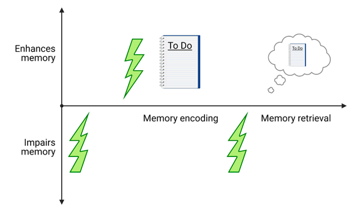 Forgetting, remembering, and stress – PennNeuroKnow