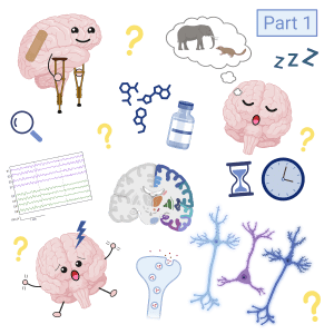 10 Big Unanswered Questions in Neuroscience (Part One) – PennNeuroKnow