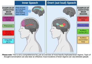 Talking to ourselves: The neuroscience behind the voice in our heads ...