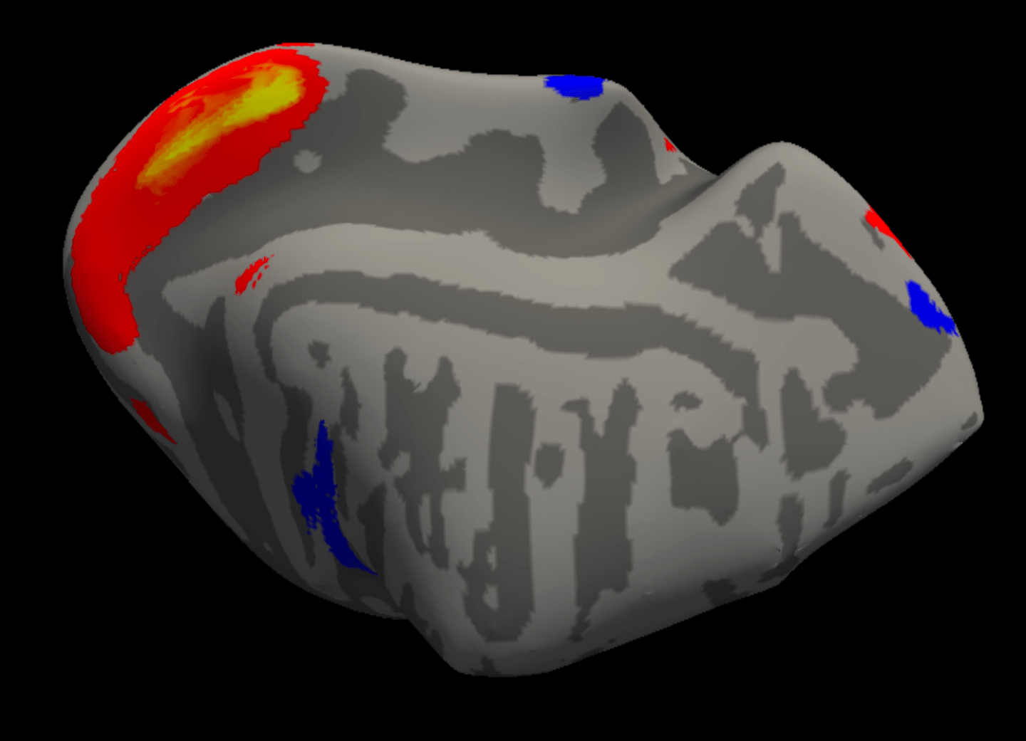 A dog’s eye view: Exploring the visual system from the kennel to the ...