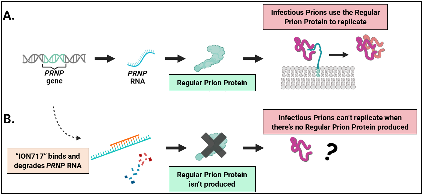A new hope in human prion diseases – PennNeuroKnow