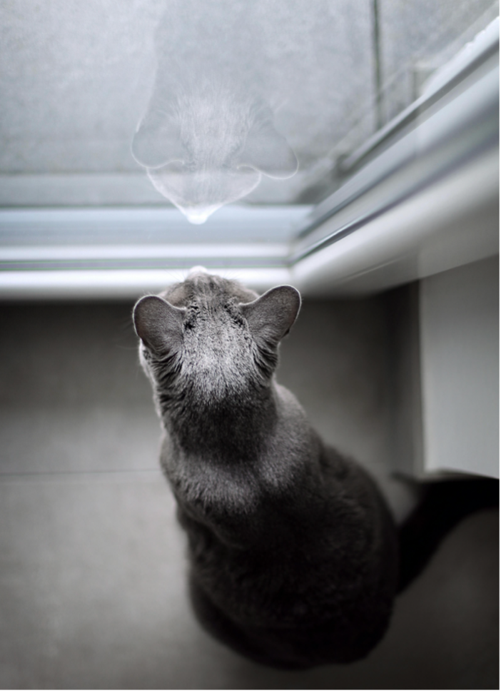 Interoception: The “sixth” sense that shapes our wellbeing – PennNeuroKnow