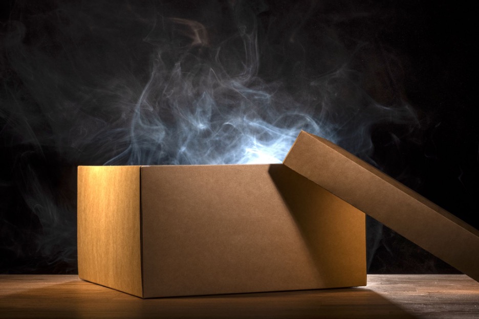 The experiments that opened the brain’s black box – PennNeuroKnow