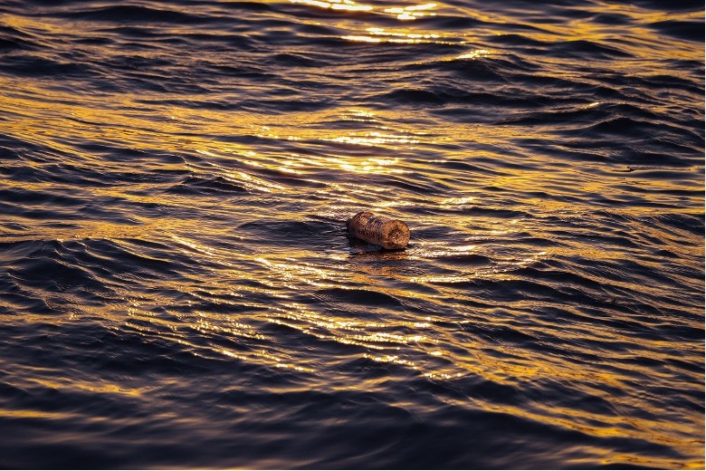 A drifting mind: How reliable are our brains? – PennNeuroKnow