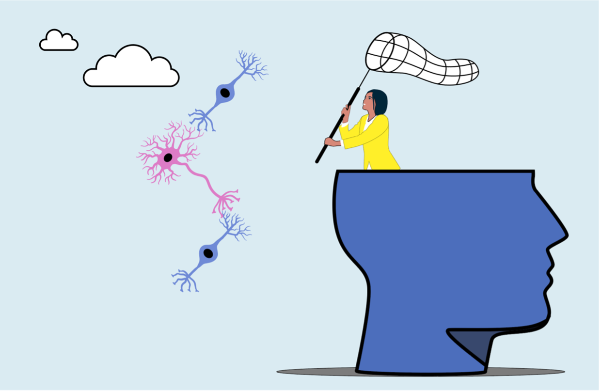 PennNeuroKnow – Breaking down the brain for everyone to understand