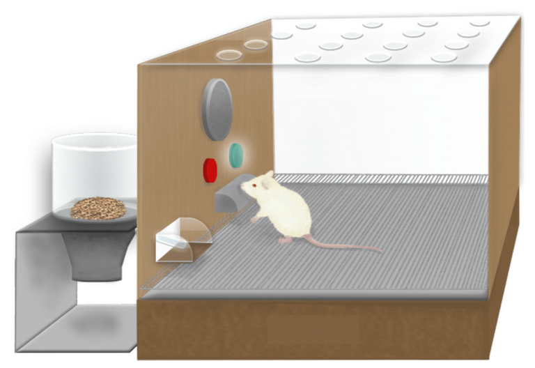 Under the influence: The mechanics of brainwashing – PennNeuroKnow